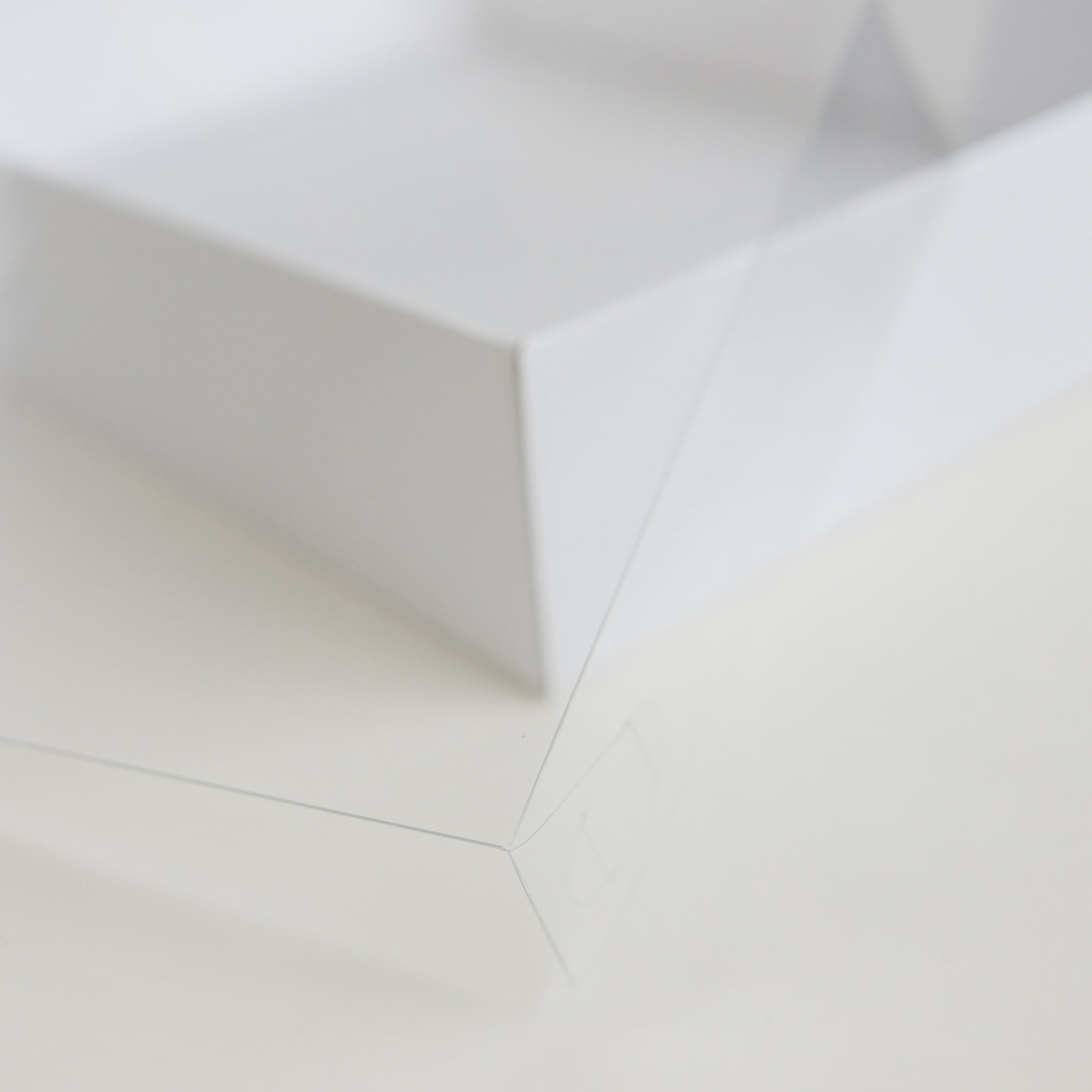 White Packaging Clear Lid Box – Decorasian